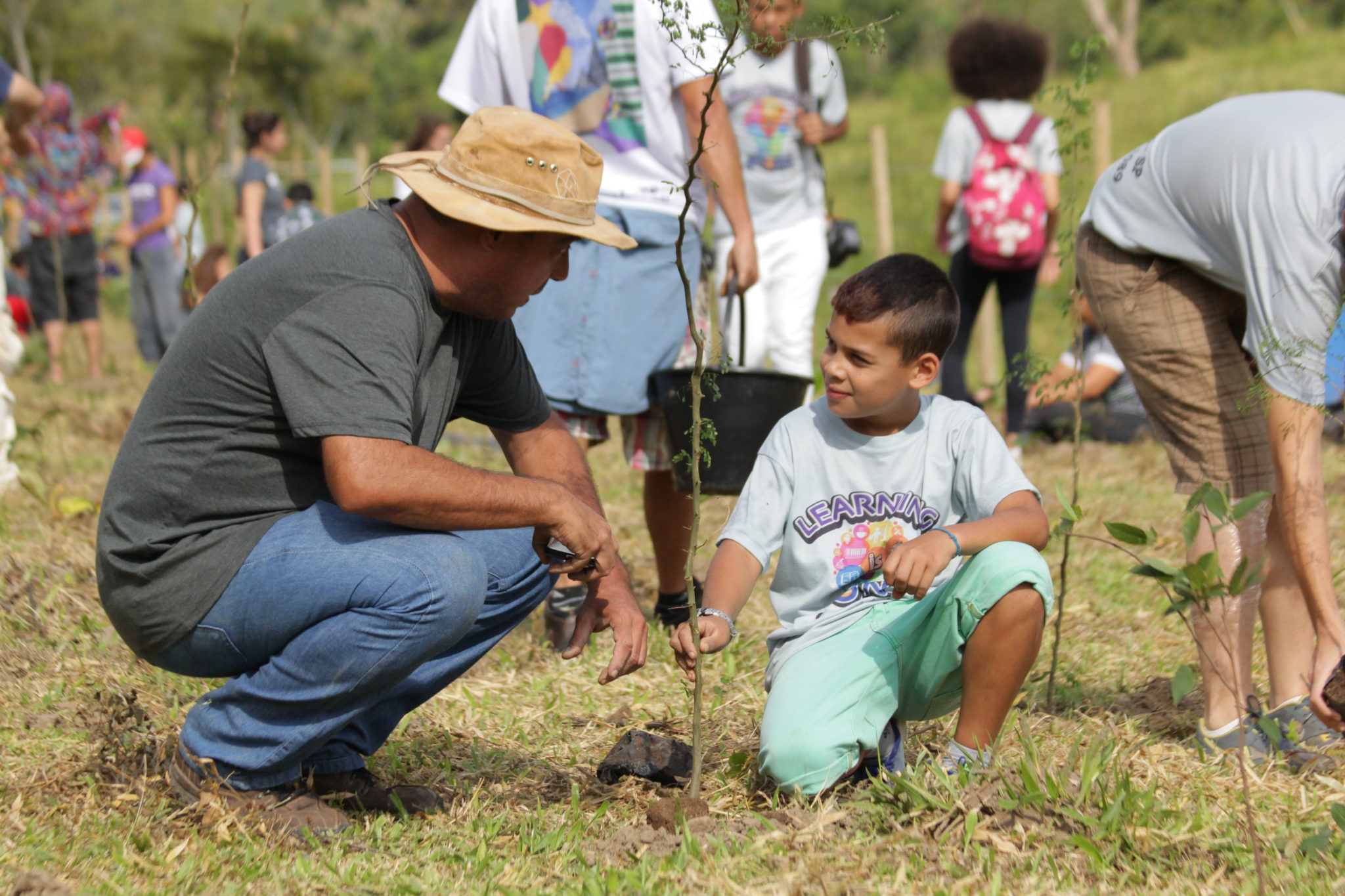 Worthe Partners with One Tree Planted - Worthe